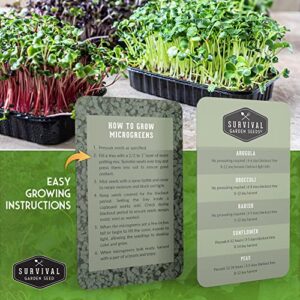 Survival Garden Seeds Microgreens 5 Pack - Instructions to Plant, Sprout, and Grow a Mix of Microgreen Plants in Your Kitchen or on Your Windowsill - Arugula, Broccoli, Radish, Pea, Sunflower Seed