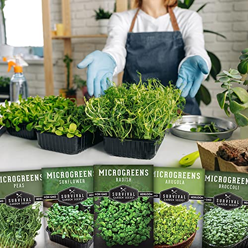 Survival Garden Seeds Microgreens 5 Pack - Instructions to Plant, Sprout, and Grow a Mix of Microgreen Plants in Your Kitchen or on Your Windowsill - Arugula, Broccoli, Radish, Pea, Sunflower Seed