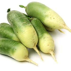 David's Garden Seeds Radish Green Luobo Improved 5453 (Green) 200 Non-GMO, Heirloom Seeds