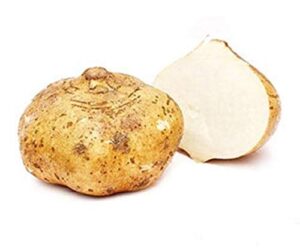 david’s garden seeds jicama 4356 (brown) 25 non-gmo, heirloom seeds