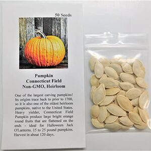 David's Garden Seeds Pumpkin Connecticut Field 8567 (Orange) 50 Non-GMO, Heirloom Seeds