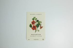 halden garden nasturtium seeds-best plants in the garden for aphids -2 seed packets of nasturtium