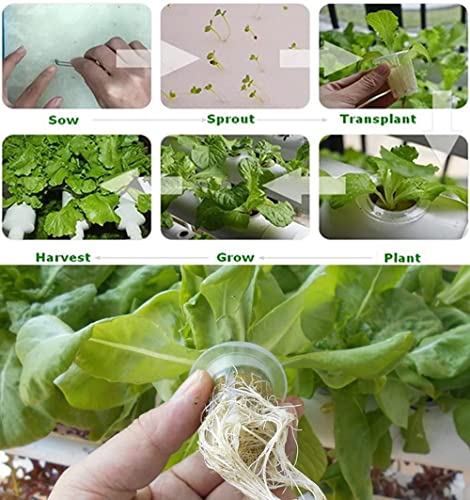 INTBUYING PVC Hydroponics Growing System, 54 Sites 6 Pipes Grow Kit for Leafy Vegetables, 1 Layers Hydroponic Kit with 110V Pump, Hose, Basket, Planting Sponges