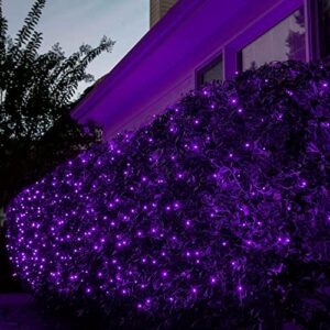 TW SHINE Halloween Christmas 200 LED Net Lights, 9.8 FT x 6.6 FT Connectable Waterproof Decorations with 8 Modes for Outdoor Garden Holiday Party (Purple)