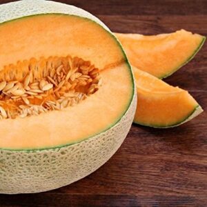 david’s garden seeds fruit cantaloupe top mark fba-4421 (orange) 50 non-gmo, heirloom seeds