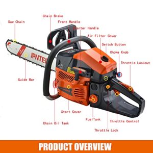 Gas Chainsaw 60cc 2-Cycle Gasoline Powered Chainsaw 20 Inch Handheld Cordless Petrol Chain Saws For Forest, Wood, Garden and Farm Cutting Use