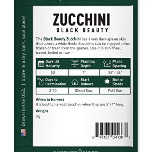 Zucchini Seeds for Planting - Black Beauty Green Heirloom, Non-GMO Vegetable Summer Squash Variety- 3 Grams Seeds Great for Summer Garden by Gardeners Basics