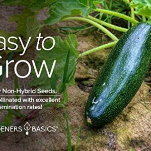 Zucchini Seeds for Planting - Black Beauty Green Heirloom, Non-GMO Vegetable Summer Squash Variety- 3 Grams Seeds Great for Summer Garden by Gardeners Basics