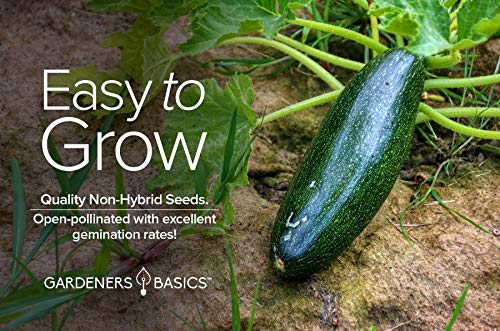 Zucchini Seeds for Planting - Black Beauty Green Heirloom, Non-GMO Vegetable Summer Squash Variety- 3 Grams Seeds Great for Summer Garden by Gardeners Basics