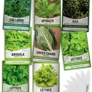 8 Leafy Garden Greens Seeds for Planting Individual Packets - Arugula, Collards, Spinach, Swiss Chard, Kale, Lettuce, Leafy and Butter Lettuce Seeds for Your Heirloom Salad Garden by Gardeners Basics