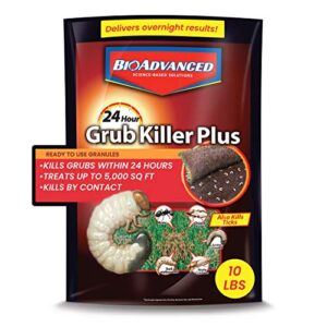 bioadvanced 24 hour grub killer plus, granules, 10 lb