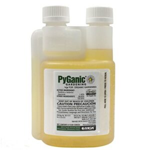 pyganic gardening 8oz, botanical insecticide pyrethrin concentrate for organic gardening