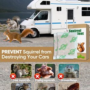 SEEKBIT Squirrel Repellent, Squirrel Deterrent Peppermint Oil to Repels Squirre Mouse Rodent, Natural Squirrel Deterrent Yard Garage, 10 Pack