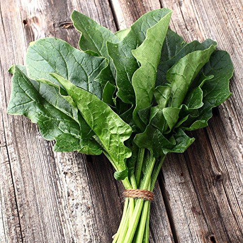 "Perpetual" Spinach Seeds for Planting, 300+ Heirloom Seeds Per Packet, (Isla's Garden Seeds), Non GMO Seeds, Botanical Name: Beta vulgaris subsp. vulgaris, Great Home Garden Gift