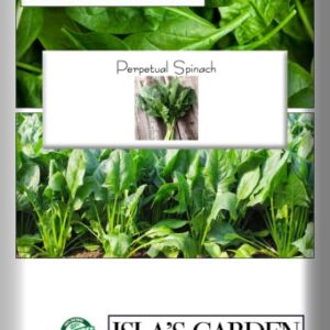 "Perpetual" Spinach Seeds for Planting, 300+ Heirloom Seeds Per Packet, (Isla's Garden Seeds), Non GMO Seeds, Botanical Name: Beta vulgaris subsp. vulgaris, Great Home Garden Gift