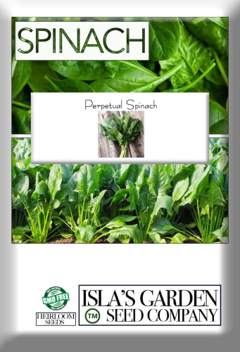 "Perpetual" Spinach Seeds for Planting, 300+ Heirloom Seeds Per Packet, (Isla's Garden Seeds), Non GMO Seeds, Botanical Name: Beta vulgaris subsp. vulgaris, Great Home Garden Gift