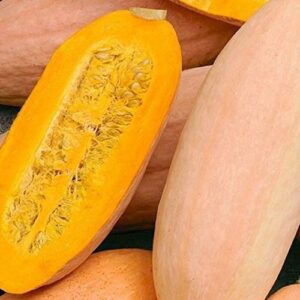 david’s garden seeds squash winter pink banana jumbo 1285 (pink) 25 non-gmo, heirloom seeds