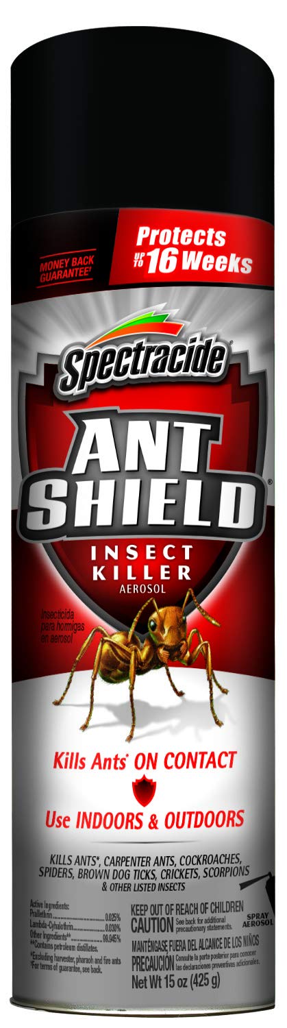 15 Oz Ant Shield Insect Killer Aerosol