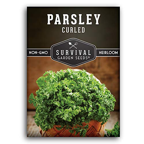 Survival Garden Seeds - Curled Parsley Seed for Planting - Packet with Instructions to Plant and Grow Nutritious Curly Parsley Herb Plants in Your Home Vegetable Garden - Non-GMO Heirloom Variety