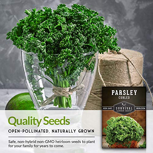 Survival Garden Seeds - Curled Parsley Seed for Planting - Packet with Instructions to Plant and Grow Nutritious Curly Parsley Herb Plants in Your Home Vegetable Garden - Non-GMO Heirloom Variety