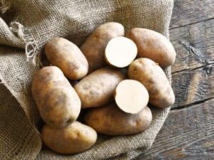 russet potato seeds, 70 tps true potato seeds russet yellow mix potatoes berry i planting ornaments garden perennials simple to grow pots gift