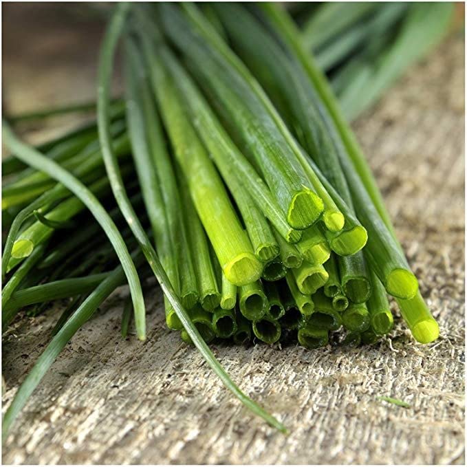 3000 Common Chive Seeds for Planting Non GMO 5 Grams of Seeds Garden Vegetable Bulk Survival Chives