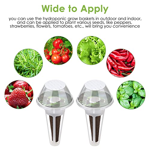 Seed Pod Kit for Aerogarden(50-Pod), Hydroponic Growing Kit for Indoor Garden, Plant Germination Kit Accessories for Seed Starting Growing System