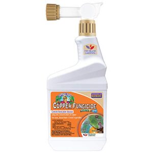 bonide captain jack’s copper fungicide, 16 oz ready-to-spray disease control for organic gardening, controls mildew & blight