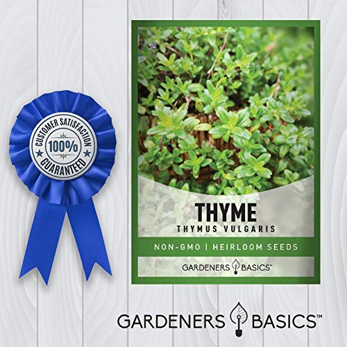 Thyme Seeds for Planting is A Heirloom, Non-GMO Herb Variety- Thymus Vulgaris Herb Seeds Great for Indoor and Outdoor Gardening by Gardeners Basics