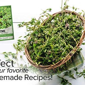 Thyme Seeds for Planting is A Heirloom, Non-GMO Herb Variety- Thymus Vulgaris Herb Seeds Great for Indoor and Outdoor Gardening by Gardeners Basics