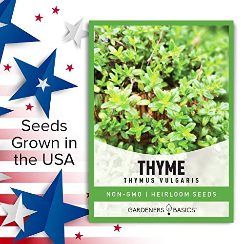 Thyme Seeds for Planting is A Heirloom, Non-GMO Herb Variety- Thymus Vulgaris Herb Seeds Great for Indoor and Outdoor Gardening by Gardeners Basics