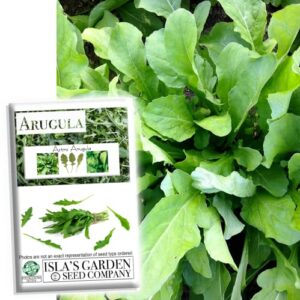 astro arugula lettuce seeds for planting,1000+ heirloom seeds per packet, (isla’s garden seeds), non gmo seeds, botanical name: eruca vesicaria ssp. sativa, great home garden gift