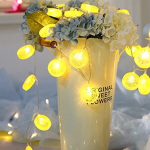 HelloCreate Fruit String Light Orange Lemon Slices Outdoor String Light Battery Operated Fruit Twinkle LED String Lights for Wedding Festival Party Garden Decor (Yellow, 10m 80LEDs)