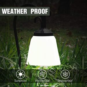 Malibu Low Voltage 1.3W LED Landscape Lighting for Garden, Path, Lawn, Patios Use