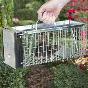 Havahart 0745 Extra Small 1-Door Humane Catch and Release Live Animal Trap for Squirrels, Chipmunks, Rats, Weasels, and Small Animals