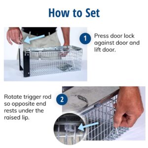 Havahart 0745 Extra Small 1-Door Humane Catch and Release Live Animal Trap for Squirrels, Chipmunks, Rats, Weasels, and Small Animals