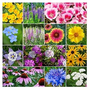 david’s garden seeds wildflower deer resistant fba-7132 (multi) 200 non-gmo, heirloom seeds