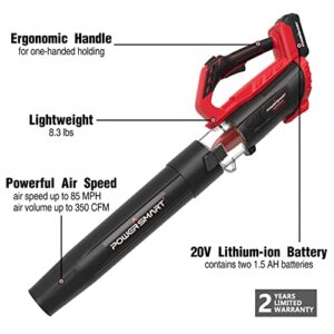 PowerSmart 20V Cordless Leaf Blower with Two 2.0 Battery, Variable Speed Control