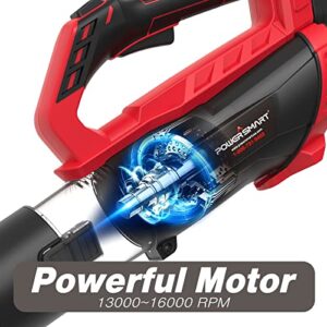 PowerSmart 20V Cordless Leaf Blower with Two 2.0 Battery, Variable Speed Control