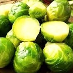 250 Long Island Brussels Sprouts Seeds | Non-GMO | Fresh Garden Seeds