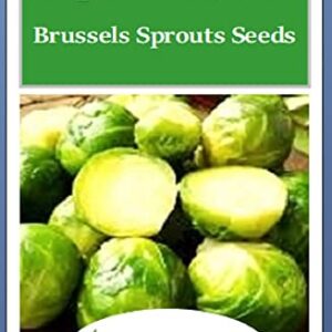 250 Long Island Brussels Sprouts Seeds | Non-GMO | Fresh Garden Seeds