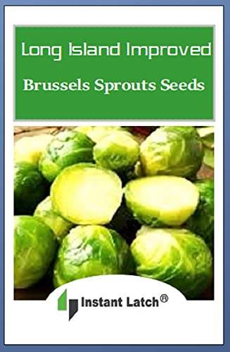 250 Long Island Brussels Sprouts Seeds | Non-GMO | Fresh Garden Seeds