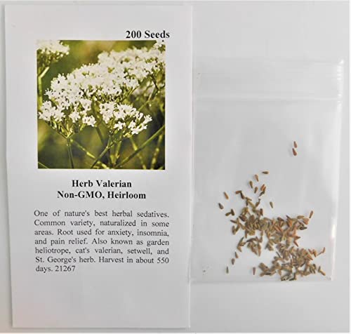 David's Garden Seeds Herb Valerian 9899 (White) 200 Non-GMO, Heirloom Seeds