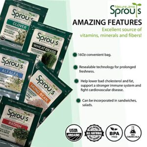 Nature Jims Sprouts Broccoli Sprout Seeds - Certified Organic Broccoli Sprouting Seeds for Indoor/Outdoor Use - Rich in Sulforaphane Healthy, Nutritious Broccoli Seeds Sprout in 5 Days - 8oz