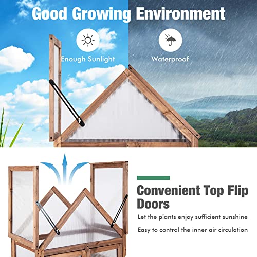 Giantex 3-Tier Garden Cold Frame, Portable Wooden Mini Greenhouse Storage Shelves, Transparent Flip-Top Roof, Indoor & Outdoor Raised Flower Planter for Garden, Patio, Balcony