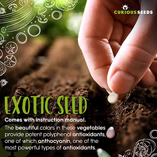 Exotic Vegetable Seeds Variety Pack - 6 Curious Garden Varieties to Grow, Non GMO, Open Pollinated, Heirloom, and Untreated for Planting, Unique Gardening Gift for Indoors and Outdoors