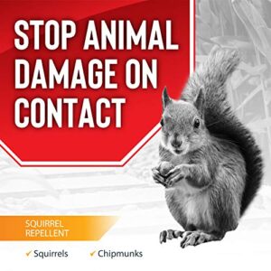 Squirrel Stopper Animal Repellent - Safe & Effective, All Natural Food Grade Ingredients; Repels Squirrels and Chipmunks; Ready to Use, 32 fl. oz. Trigger Spray Bottle