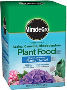 miracle-gro 1000701 pound (fertilizer for acid loving plant food for azaleas, camellias, and rhododendrons, 1.5, 1.5 lb