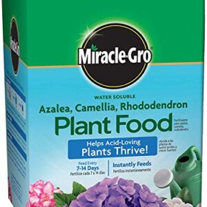 Miracle-Gro 1000701 Pound (Fertilizer for Acid Loving Plant Food for Azaleas, Camellias, and Rhododendrons, 1.5, 1.5 lb