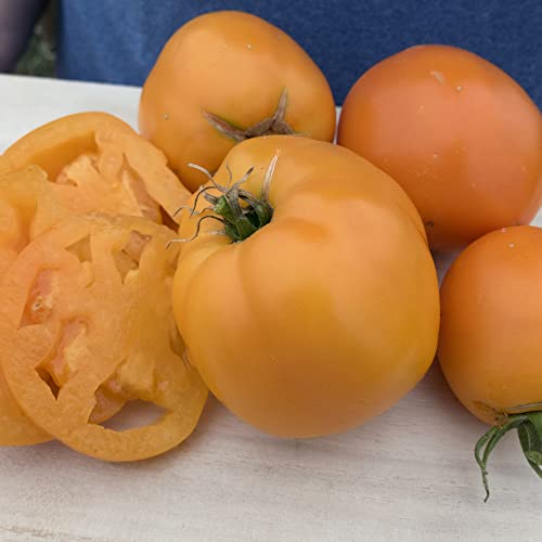 Organic Valencia Tomato Seeds - 300 Mg Packet ~84 Seeds - Non-GMO, Certified Organic, Heirloom - Vegetable Garden - Lycopersicon esculentum